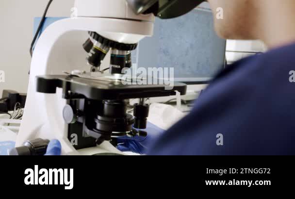Scientist in sperm laboratory. Lab worker is regulating a microscope ...