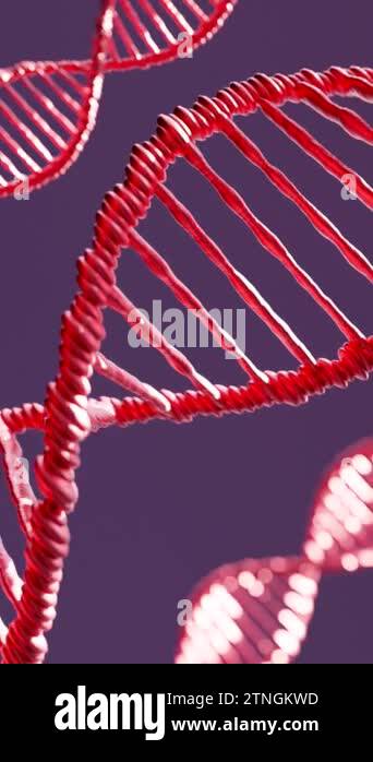 Part dna red 3d Stock Videos & Footage - HD and 4K Video Clips - Alamy