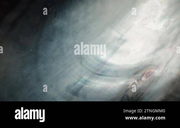 Object isolated shell Stock Videos & Footage - HD and 4K Video Clips ...