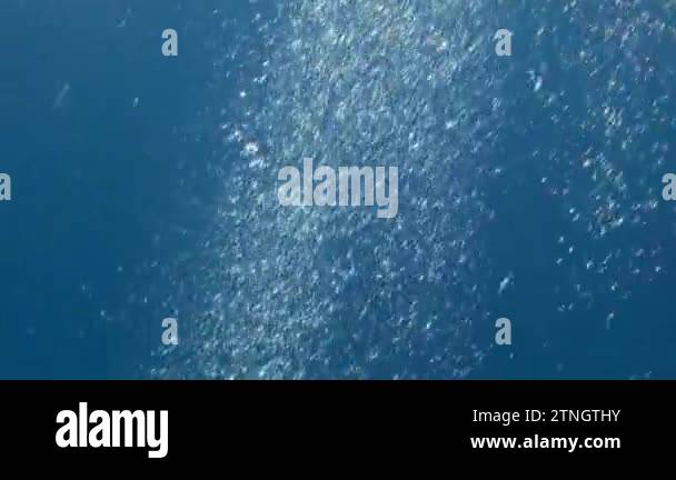 Bubbles in underwater of ocean. Bubbles give water an interesting ...