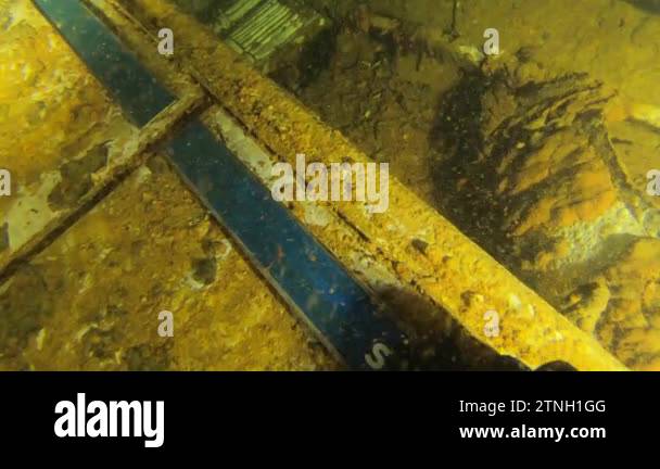 Slow motion video on shipwreck swedish ferryZenobia. Wreck diving ...