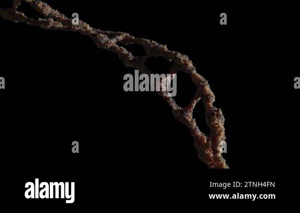 Dna rotation Stock Videos & Footage - HD and 4K Video Clips - Alamy