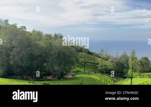 Scenic nilgiri hills Stock Videos & Footage - HD and 4K Video Clips - Alamy