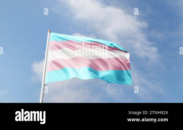 Gay trans flag Stock Videos & Footage - HD and 4K Video Clips - Alamy