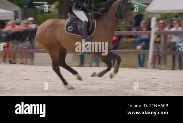 Cinematic slow motion close up of young female horsemanship master ...