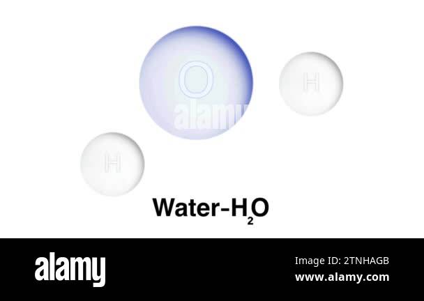 The polar covalent bonds of water, Weakly positive and negative ...