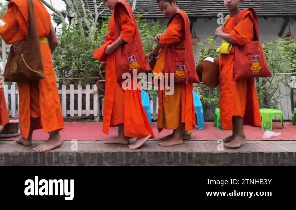 Monks with alms bowl at the traditional sacred alms-giving ceremony ...