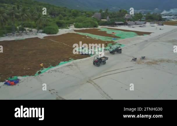Drying algae Stock Videos & Footage - HD and 4K Video Clips - Alamy