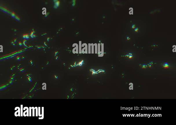 Covid 19 Coronavirus Outbreak Microscope View Background/ 4k animation ...