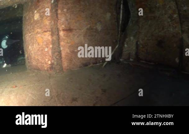 Scuba divers swims on the Shipwreck Swedish ferry MS Zenobia. Wreck ...