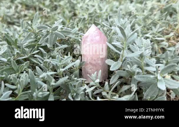 Rose crystal tower Stock Videos & Footage - HD and 4K Video Clips - Alamy