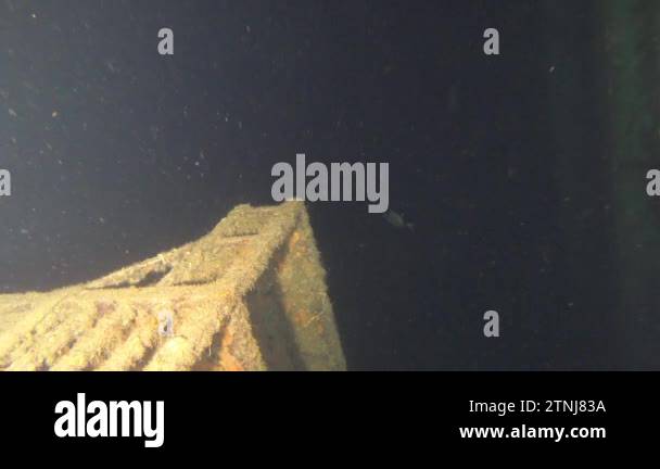 Slow motion video on shipwreck swedish ferry MS Zenobia. Wreck diving ...
