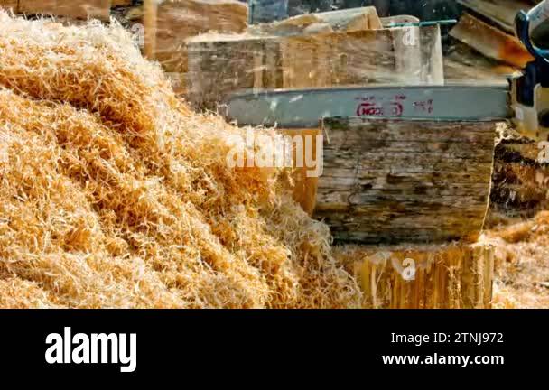 Precision in Action: Cutting Wood with a Chain Saw, Showcasing ...