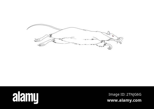 Vector cartoon mice Stock Videos & Footage - HD and 4K Video Clips - Alamy
