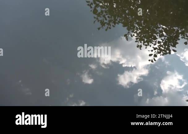 Sky water trees Stock Videos & Footage - HD and 4K Video Clips - Alamy