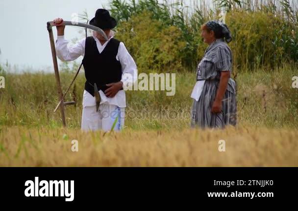 Man and woman reaping Stock Videos & Footage - HD and 4K Video Clips ...