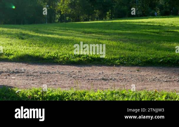 Disabled person in a wheelchair. Side view of an unrecognizable ...
