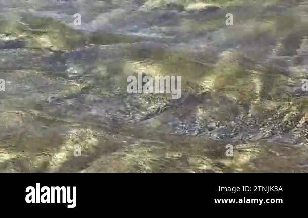 Dynamic Red Sea Currents in Egypts Shallow Waters. High quality 4k ...