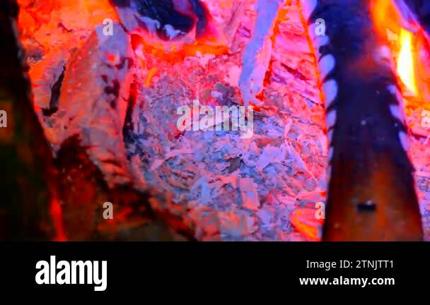 Dark live coals. Burning hardwood in detail. Burning woods shiver in ...