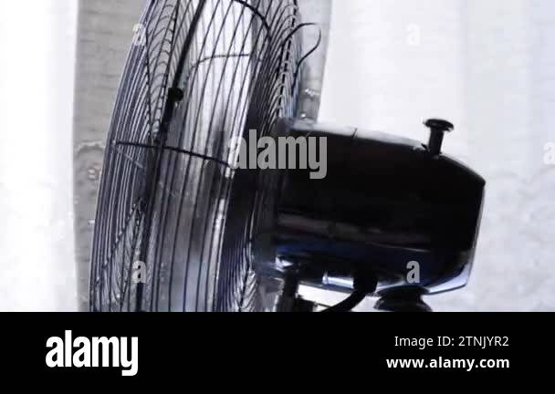 Running fan Stock Videos & Footage - HD and 4K Video Clips - Alamy