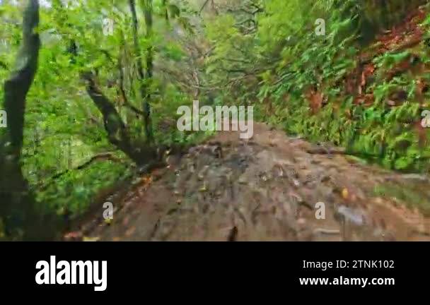 Unpaved pathway Stock Videos & Footage - HD and 4K Video Clips - Alamy