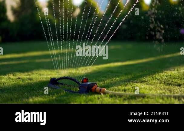 Watering the lawn. Sparkling fresh water spraying out of sprinkler on ...