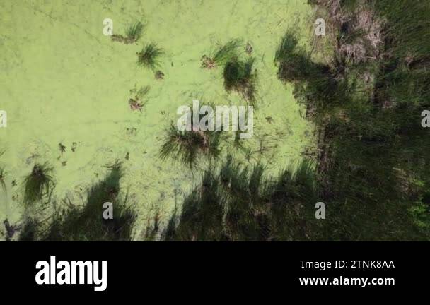 Marsh drainage Stock Videos & Footage - HD and 4K Video Clips - Alamy