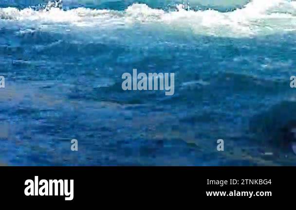 Ugam river Stock Videos & Footage - HD and 4K Video Clips - Alamy