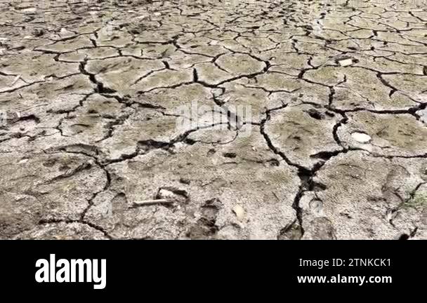 Dry cracked ground caused Stock Videos & Footage - HD and 4K Video ...