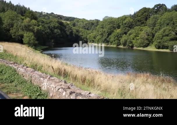 Trout fly fishing uk Stock Videos & Footage - HD and 4K Video Clips - Alamy