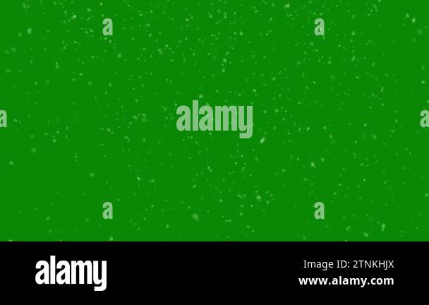 Falling Snow Overlay on Green Background. Winter Animation with Chroma ...