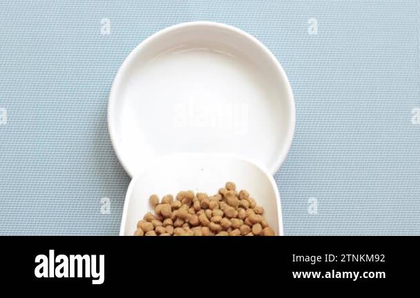 Pouring cat food into a bowl, top view. White bowl for cat food on a ...