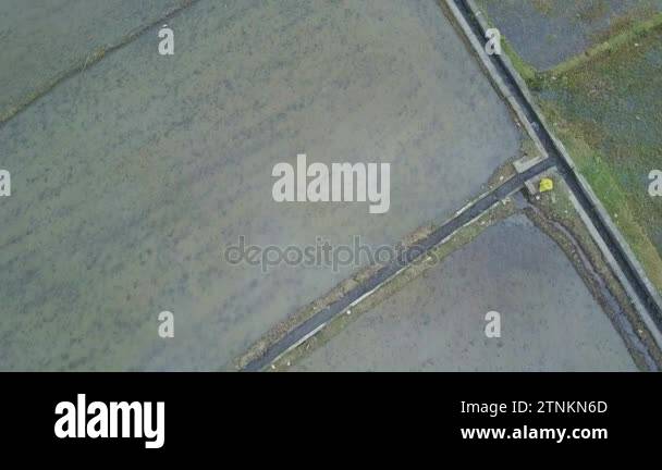Water plantations Stock Videos & Footage - HD and 4K Video Clips - Alamy