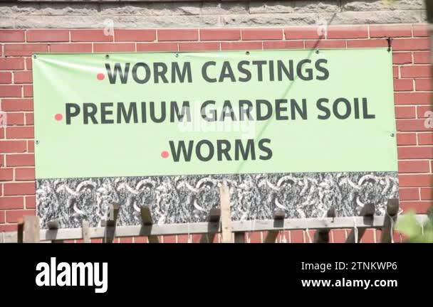 Soil worms Stock Videos & Footage - HD and 4K Video Clips - Alamy