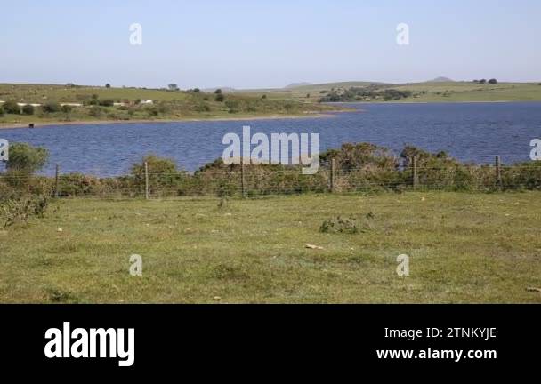 Colliford lake reservoir cornwall Stock Videos & Footage - HD and 4K ...