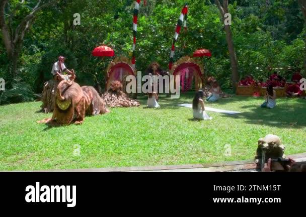 Balinese dance ubud Stock Videos & Footage - HD and 4K Video Clips - Alamy