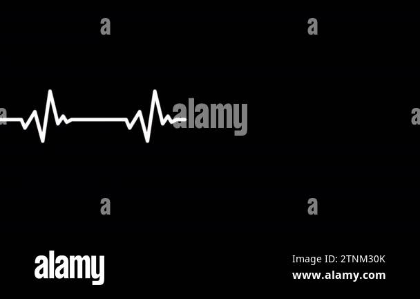 Heartbeat Pulse Rate animation Alpha channel. Electrocardiogram beeping ...