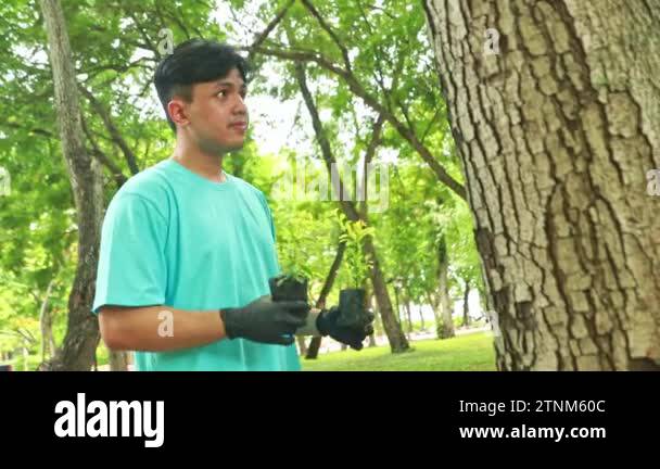 Planting big trees Stock Videos & Footage - HD and 4K Video Clips - Alamy