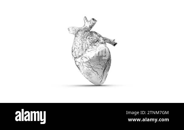 Arteries of human heart Stock Videos & Footage - HD and 4K Video Clips ...