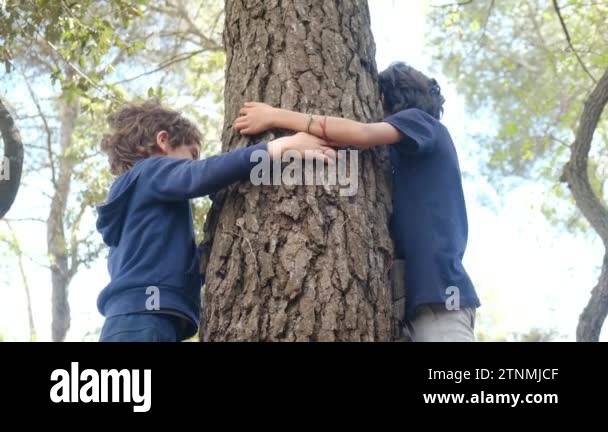 Happy children hugging a tree with his hands. Forest environment ...