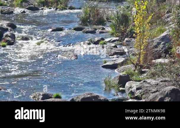 Cobble river channel Stock Videos & Footage - HD and 4K Video Clips - Alamy