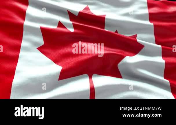 4k render Canada Flag video waving in wind. Canada Flag Wave Loop waving in wind. Realistic ...