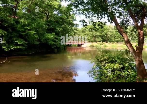 Korea national arboretum spring Stock Videos & Footage - HD and 4K ...