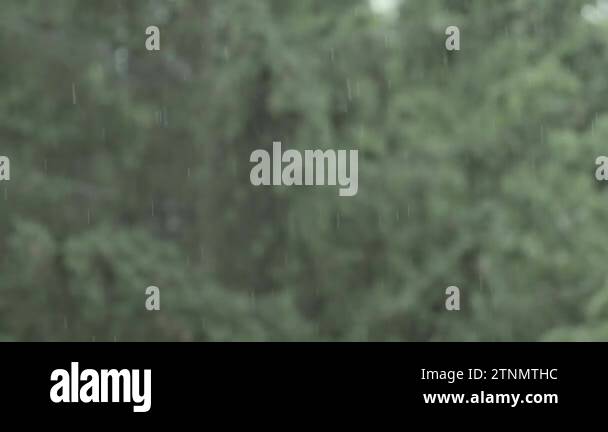 4k Loop Rain Drops Falling Alpha, Real Rain, High quality, Slow Rain ...