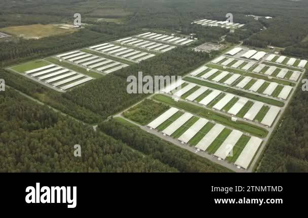 Commercial poultry farm Stock Videos & Footage - HD and 4K Video Clips ...
