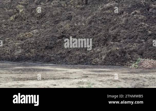 Manure heap in field Stock Videos & Footage - HD and 4K Video Clips - Alamy