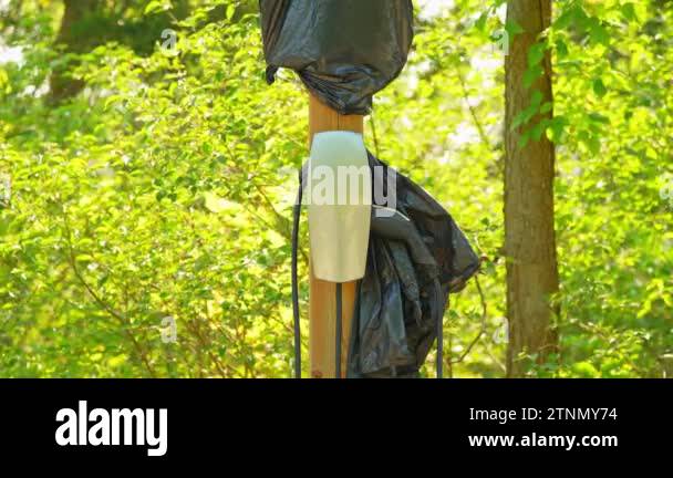 Plug in ev hybrid Stock Videos & Footage - HD and 4K Video Clips - Alamy