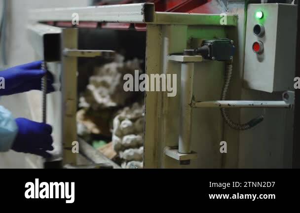Unrecognizable woman closing door of hydraulic press machine pressing ... Unrecognizable woman closing door of hydraulic press machine pressing ...