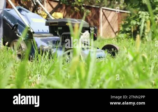 Man, gardener using lawn mowing machine to cut grass on garden. Taking ...