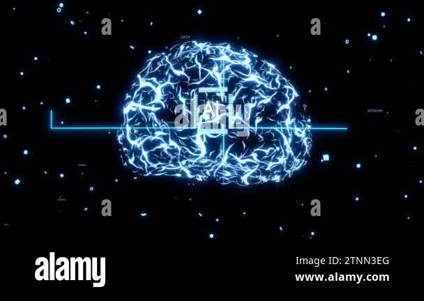 Cognitive networks Stock Videos & Footage - HD and 4K Video Clips - Alamy